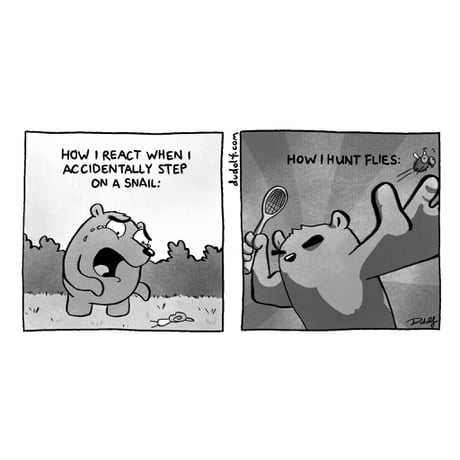 Best Funny flies Memes - 9GAG