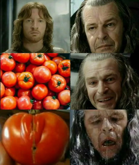 Best Funny tomato Memes - 9GAG