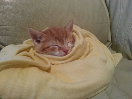 Useless Layabout - 9GAG