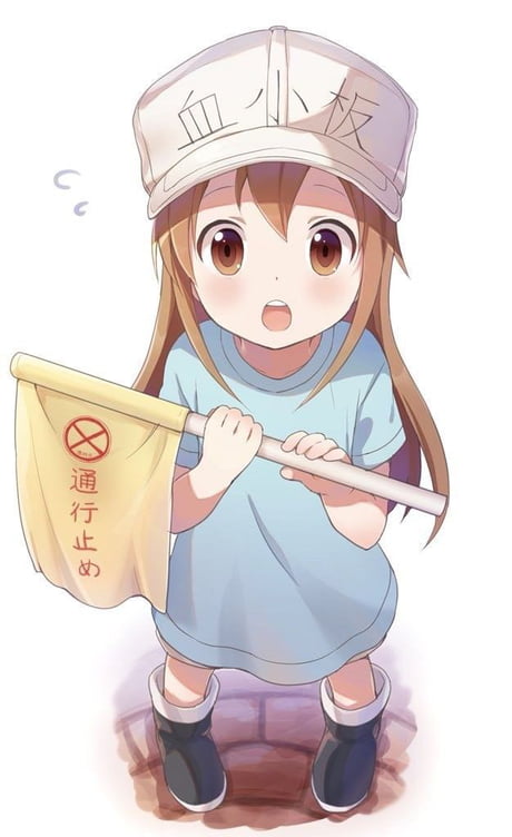 Best Funny platelet chan Memes - 9GAG
