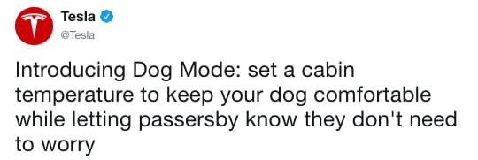 Tesla Launches 'Dog Mode' And ‘Sentry Mode’ To Guard Your Pets And Car ...