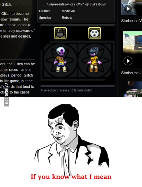 Starbound Memes