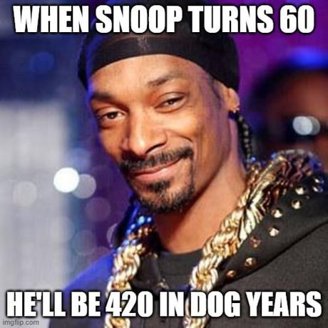 Shizzle Memes I Taught Snoop Dog How To Fo Shizzle Pasta Martha