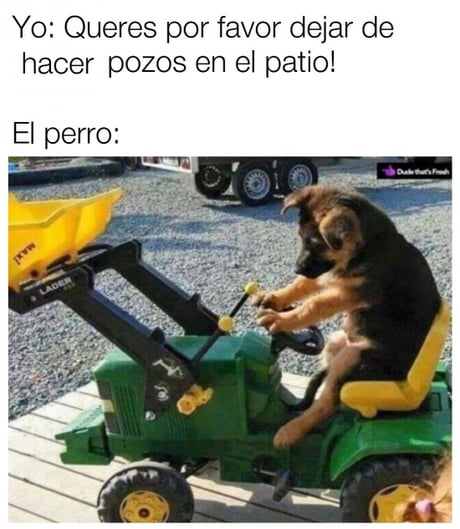Pobre Perrito Memes