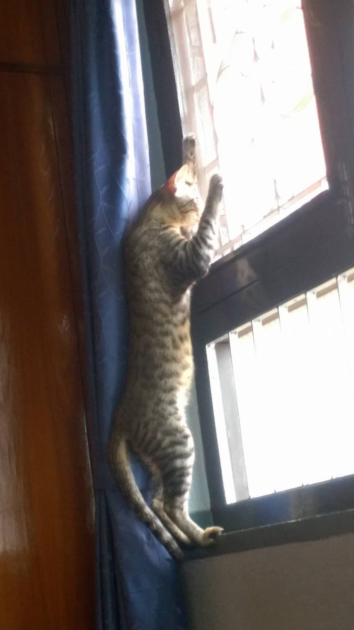 "When will my husband return from war?" - 9GAG