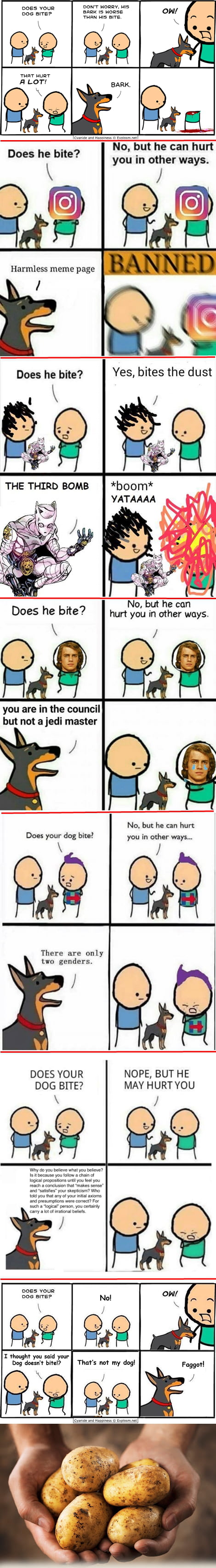 Special "Does He Bite?" memes... Enjoy? - 9GAG