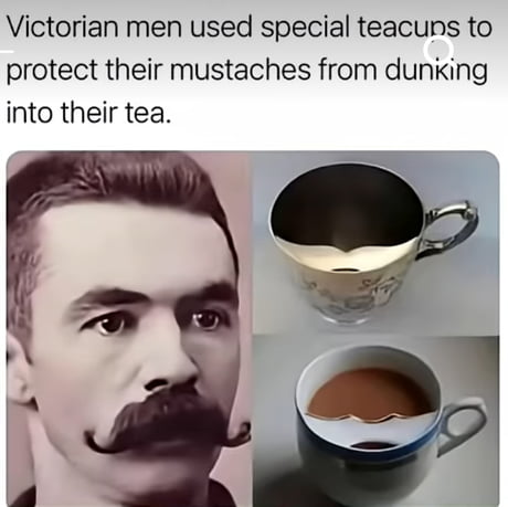 Mustache Compliment Memes Mustache Goatee Meme | TikTok