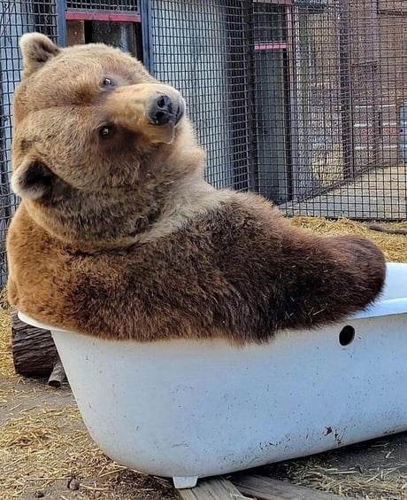 Best Funny hello there Memes - 9GAG