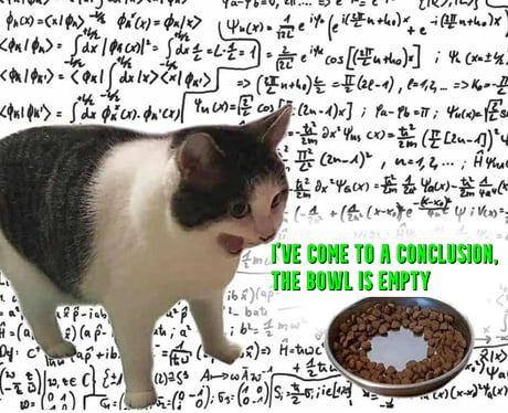 Best Funny conclusion Memes - 9GAG