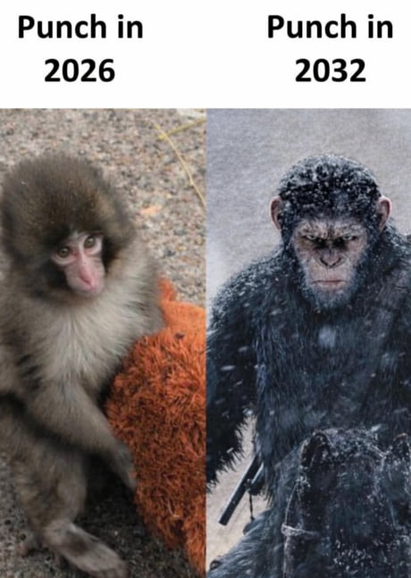 Best Funny ape Memes - 9GAG
