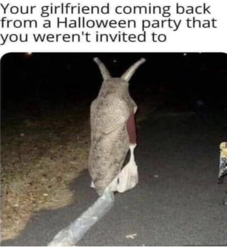 Best Funny slug Memes - 9GAG