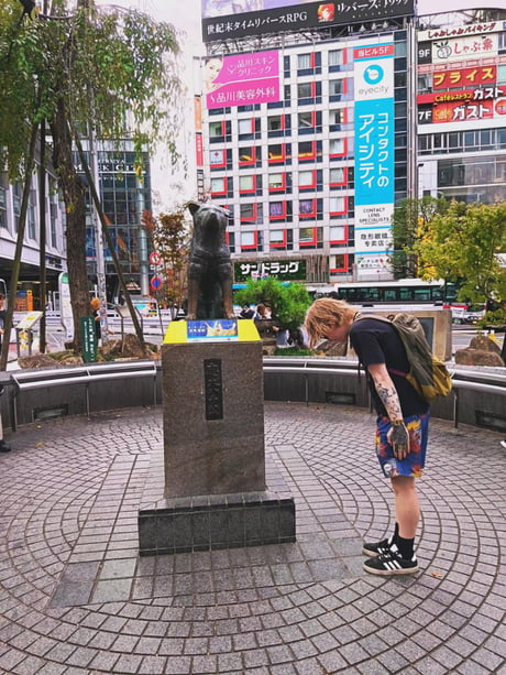 Best Funny hachiko Memes - 9GAG