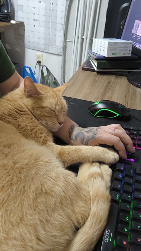 Best Funny keyboard Memes - 9GAG