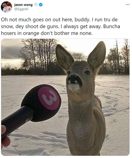 Best Funny deer Memes - 9GAG