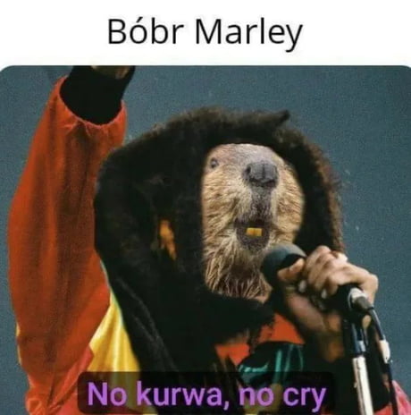 Best Funny bober Memes - 9GAG