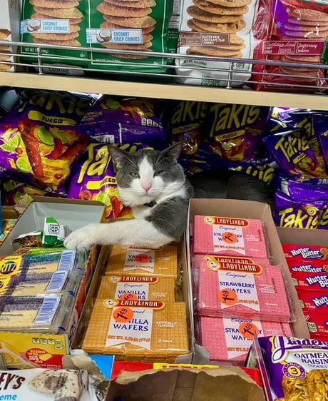 Best Funny takis Memes - 9GAG