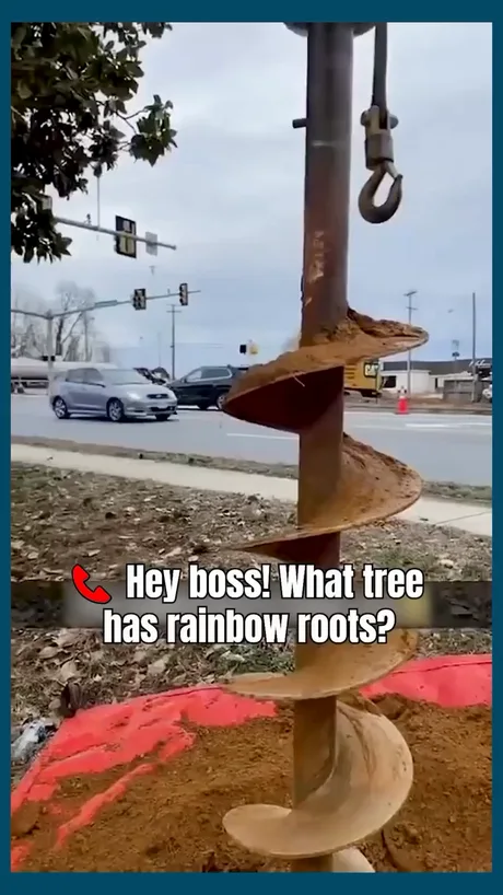 Drilling Memes