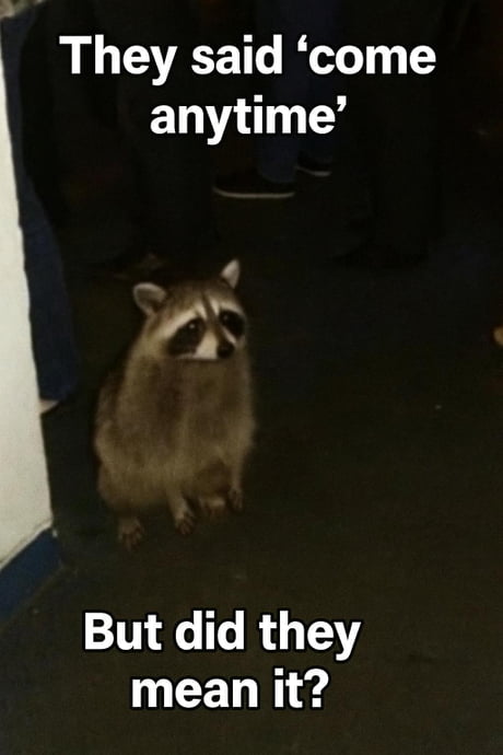 Best Funny visiting Memes - 9GAG