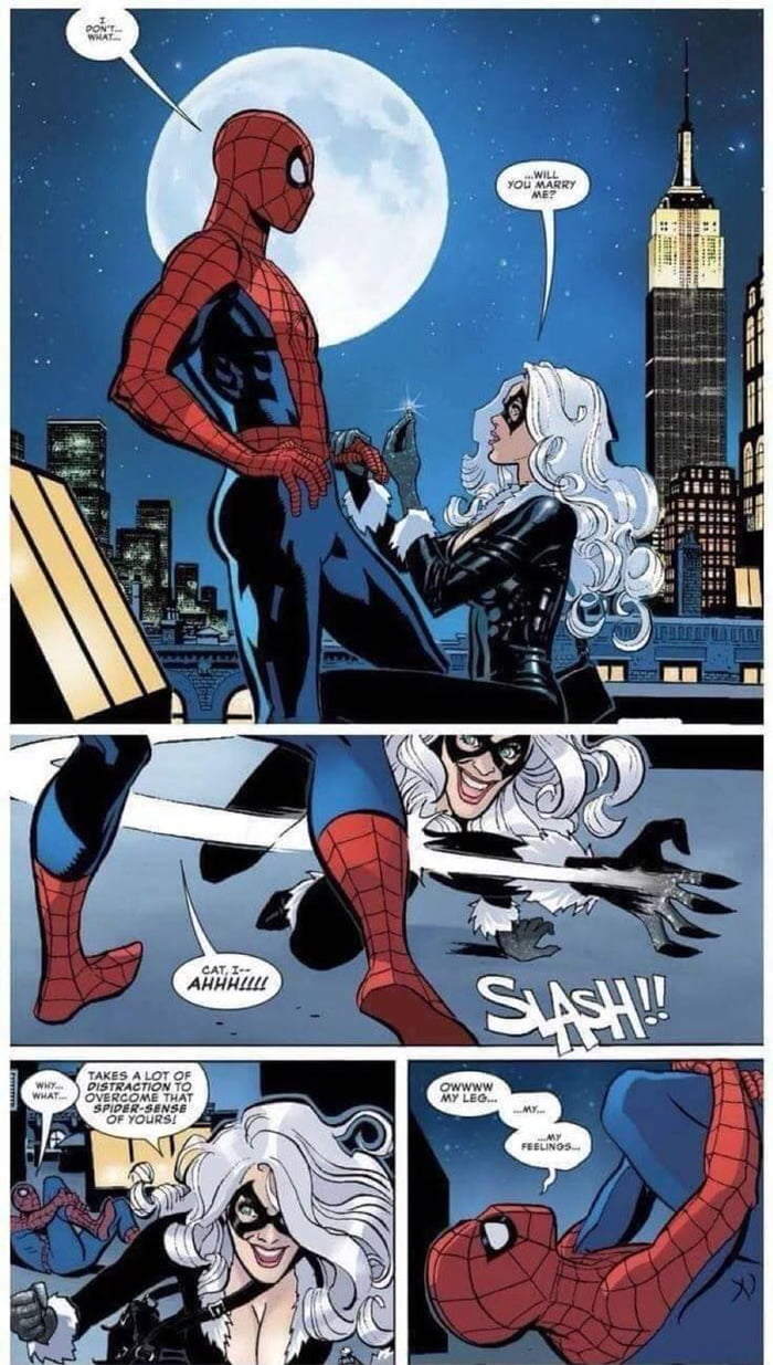 Black Cat's proposal comes with a twist, right in the feelings. - 9GAG
