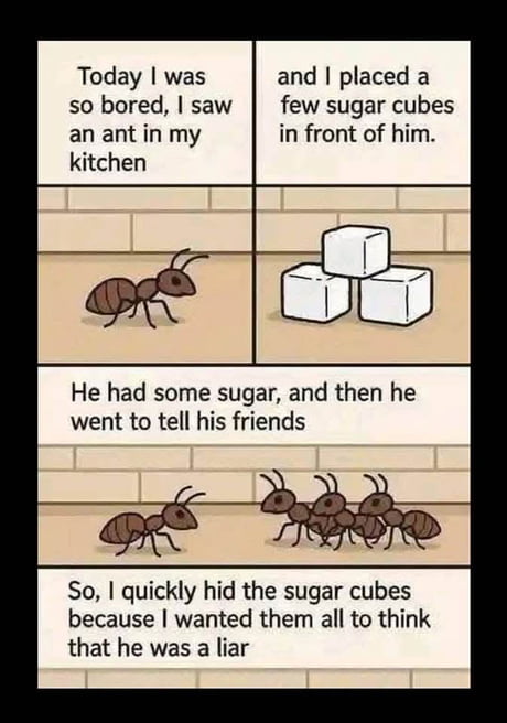 Best Funny ant Memes - 9GAG