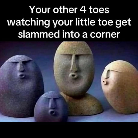Best Funny toe Memes - 9GAG