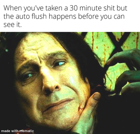 Automatic Flush Memes