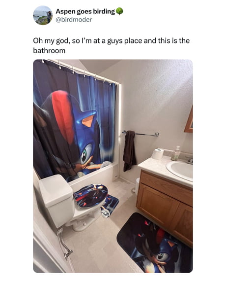 Best Funny shadow the hedgehog Memes - 9GAG