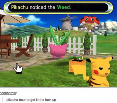 Weed Pokemon Memes