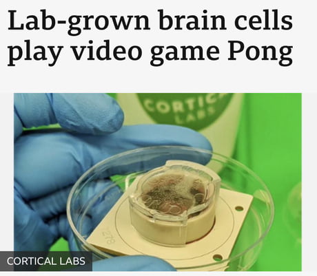 Best Funny brain cells Memes - 9GAG