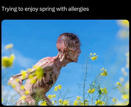 Springtime Allergy Memes