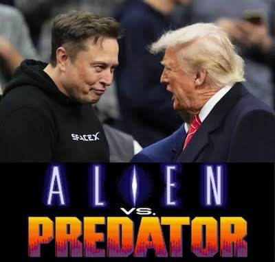 Best Funny let them fight Memes - 9GAG