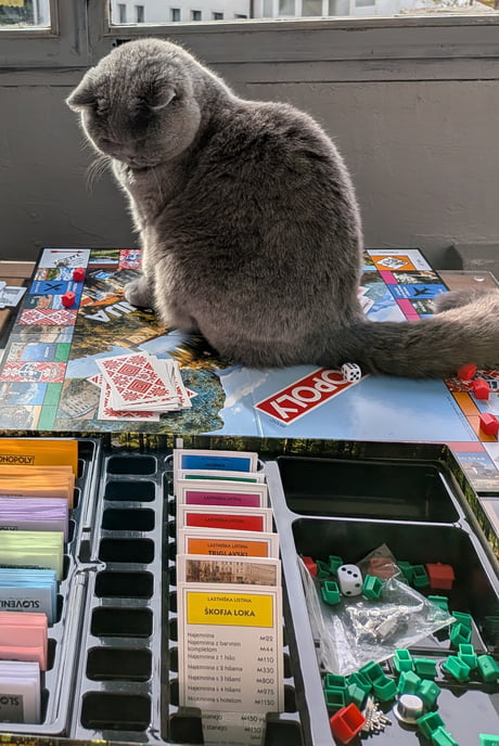 Best Funny monopoly Memes - 9GAG
