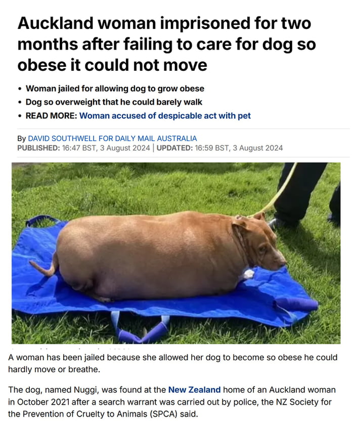 Holy mother of chonk - 9GAG