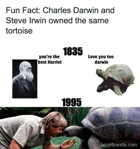 Best Funny darwin Memes - 9GAG