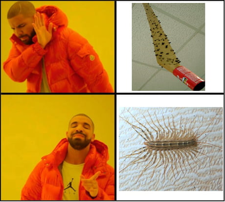 Best Funny centipede Memes - 9GAG