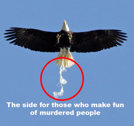 Best Funny eagle Memes - 9GAG