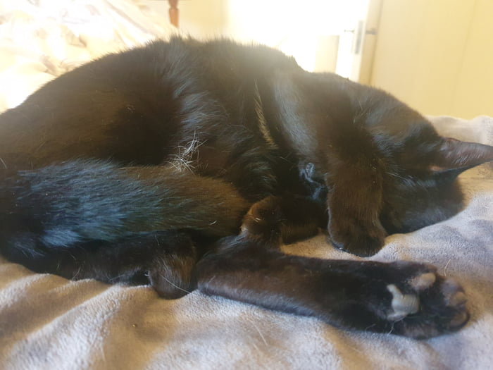 The toe beans, the way she covers her eyes when she sleeps... I love this little void! My sweet ...