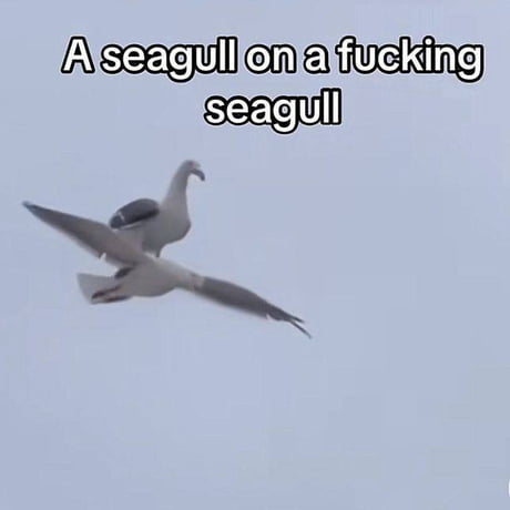 Best Funny saskatchewan Memes - 9GAG