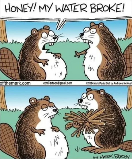 Best Funny beaver Memes - 9GAG