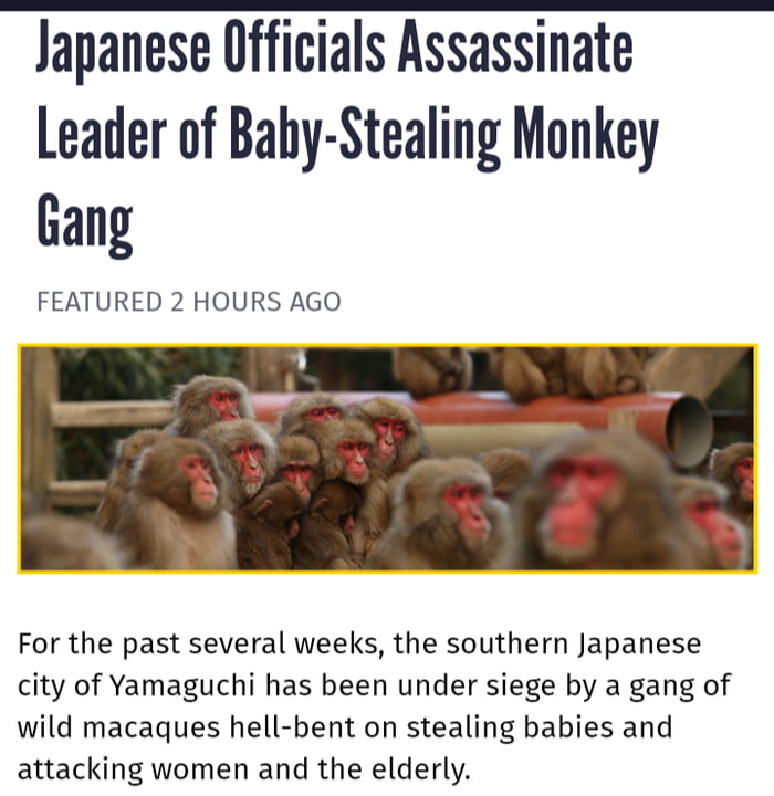 Monkey Gang - 9GAG