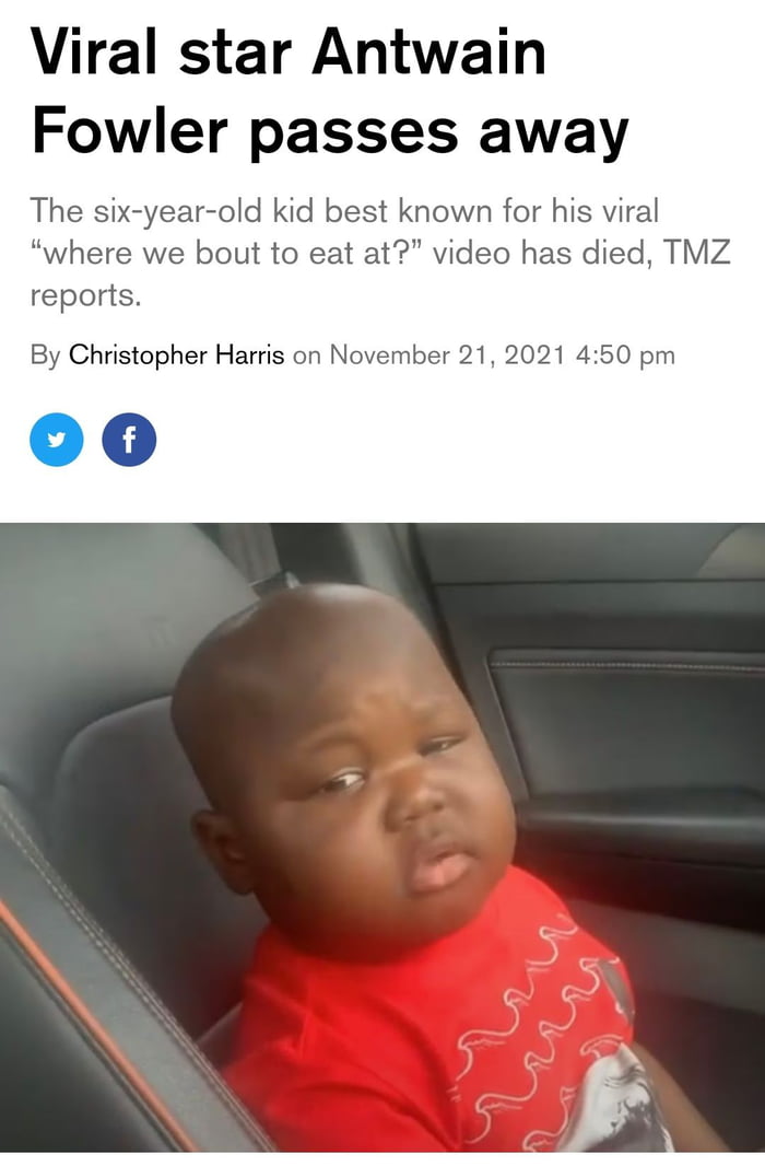 Fly high king - 9GAG