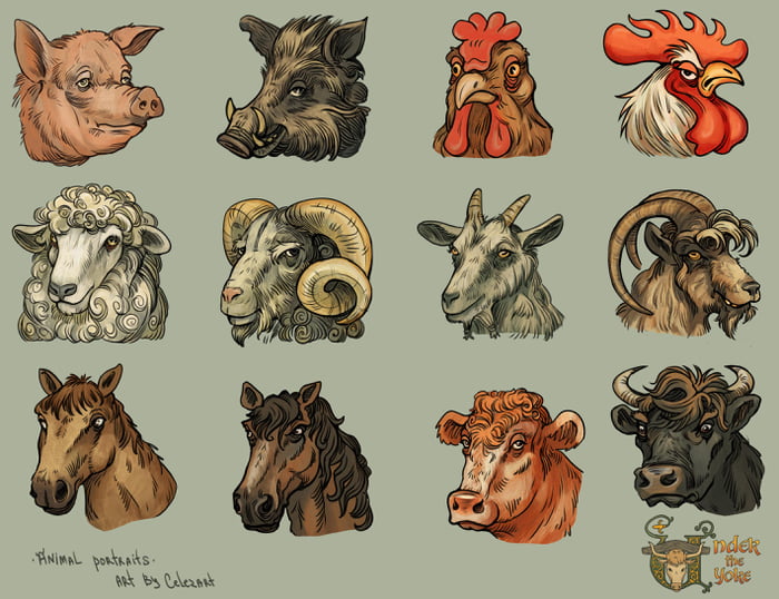 Drew animal portraits for indie game - 9GAG