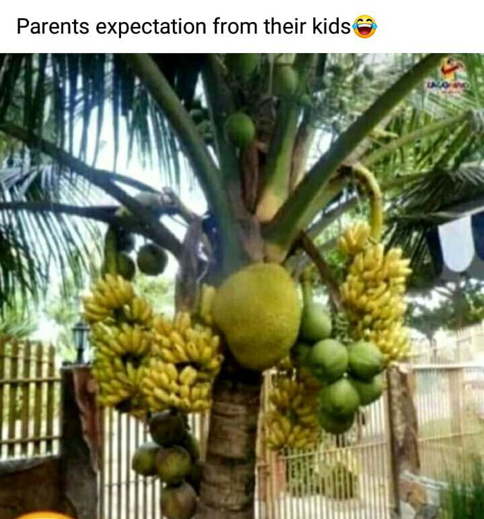 Itne paise mein to Itna hi milega Papa!! - 9GAG