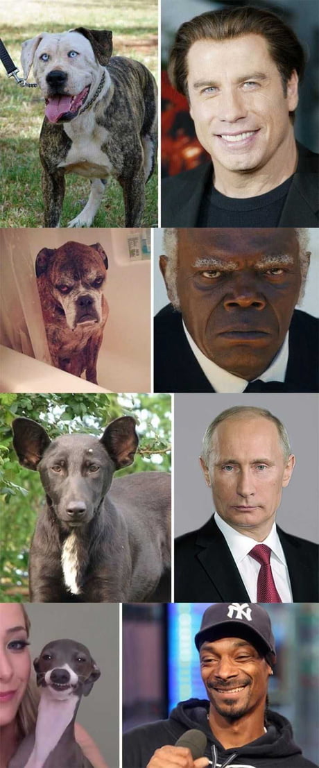 Celebrity Look Alike 9gag