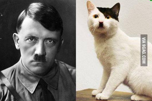 Kitler . . . - 9GAG