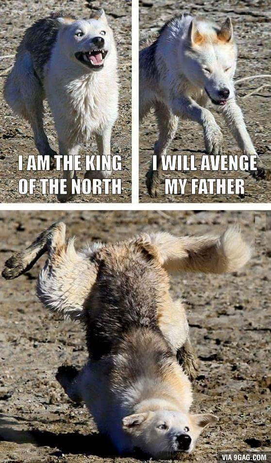 Damnit Moon Moon - 9GAG