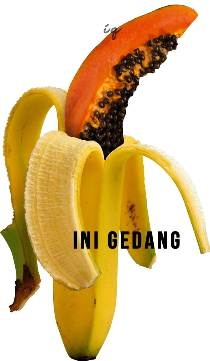 Sunda vs jawa - 9GAG