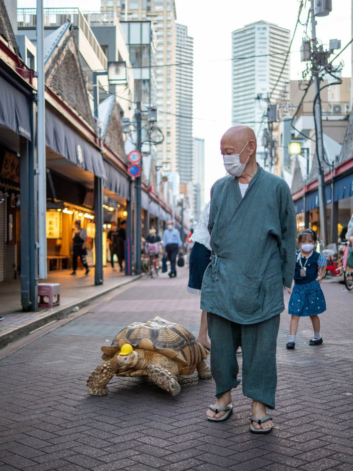 Giant Tortoise ‘Bon-Chan’ Brings Joy To Passerbys In His Daily Walk - 9GAG