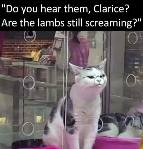 Memes Clarice Clarice Tudor's Self Deprecating Comics Tackle Themes Of