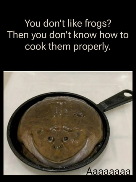 Best Funny aaaaaaaaaaaaaaaaaaaaaaaaa Memes - 9GAG